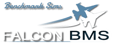 Falcon BMS Head Tracking – Pilots’ Hidden Advantage